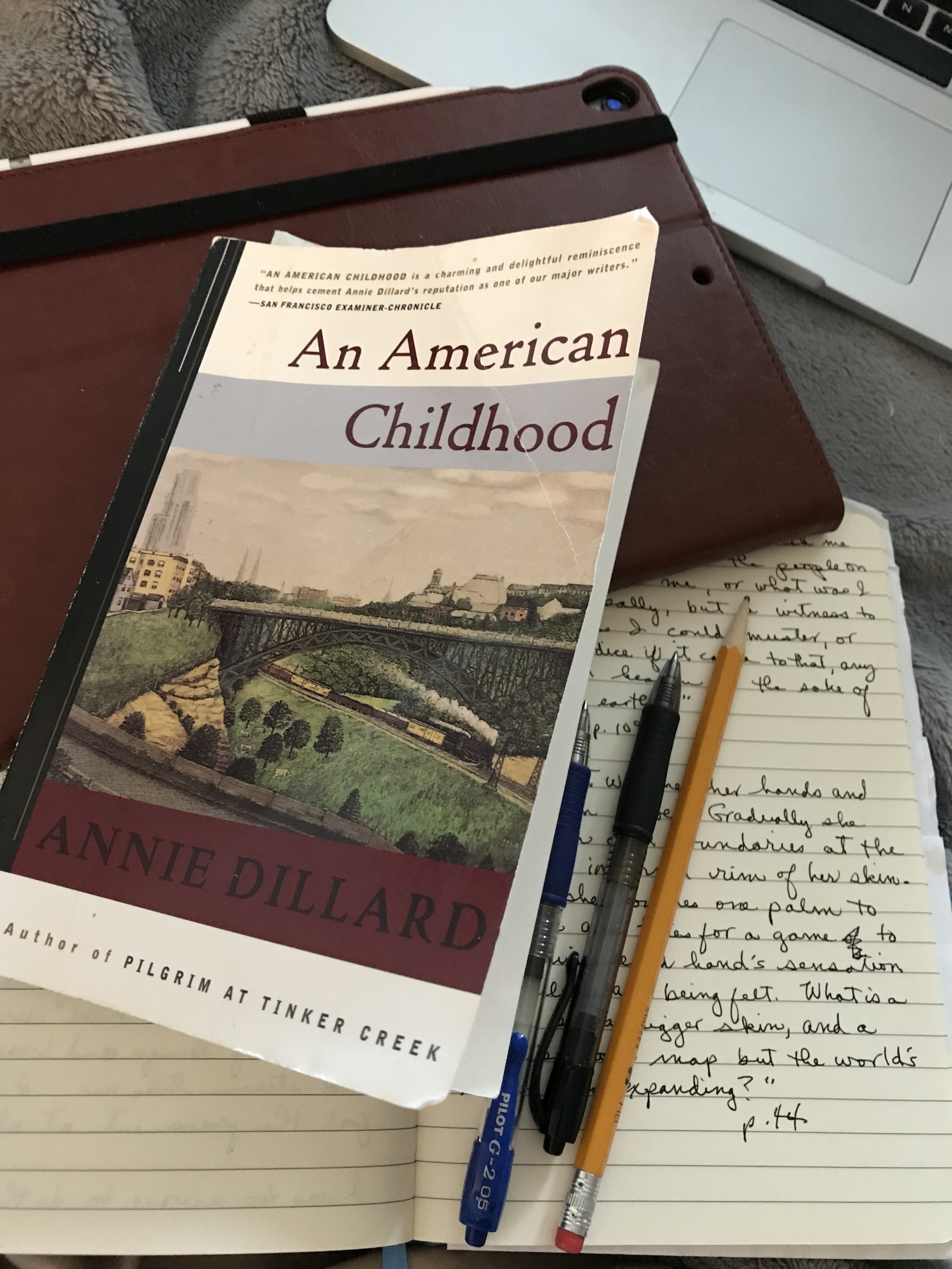 Learning to Be, From a Baby, with Help from Annie Dillard | Shirley ...